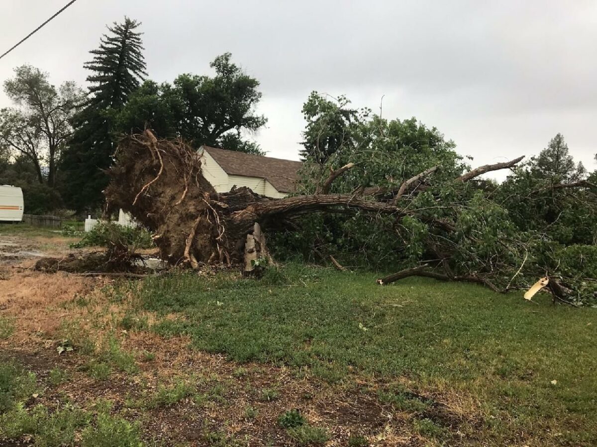 Rare wind storm causes damage in county | News, Sports, Jobs - Daily Herald